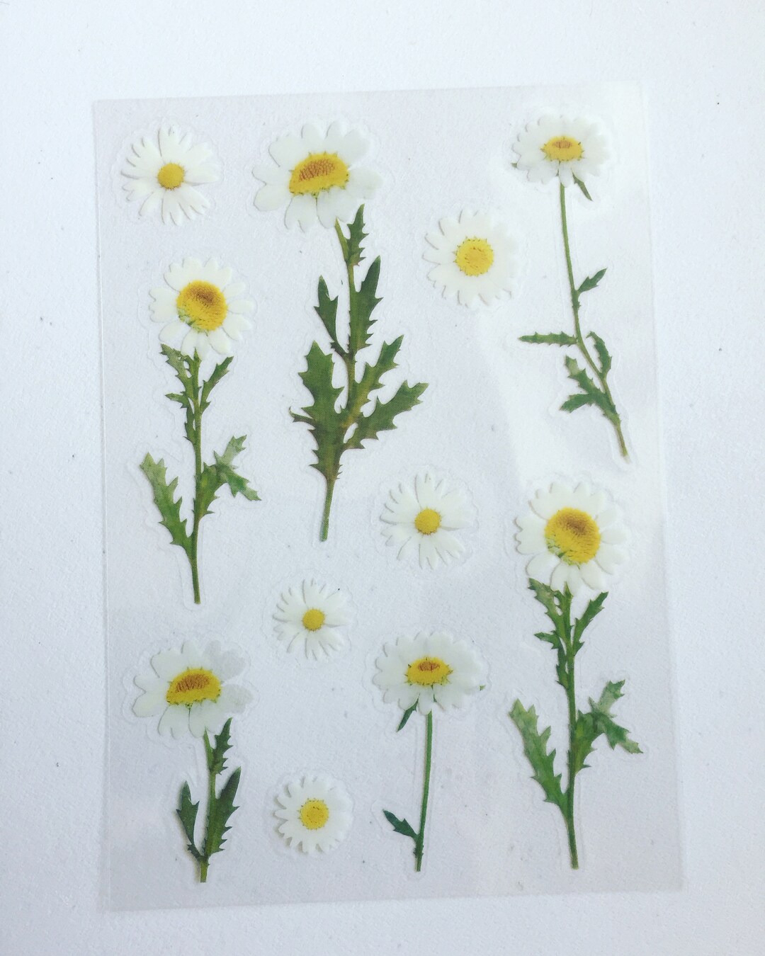 Daisy Flower Stickers, Wild Flower Planner Stickers, White Floral ...