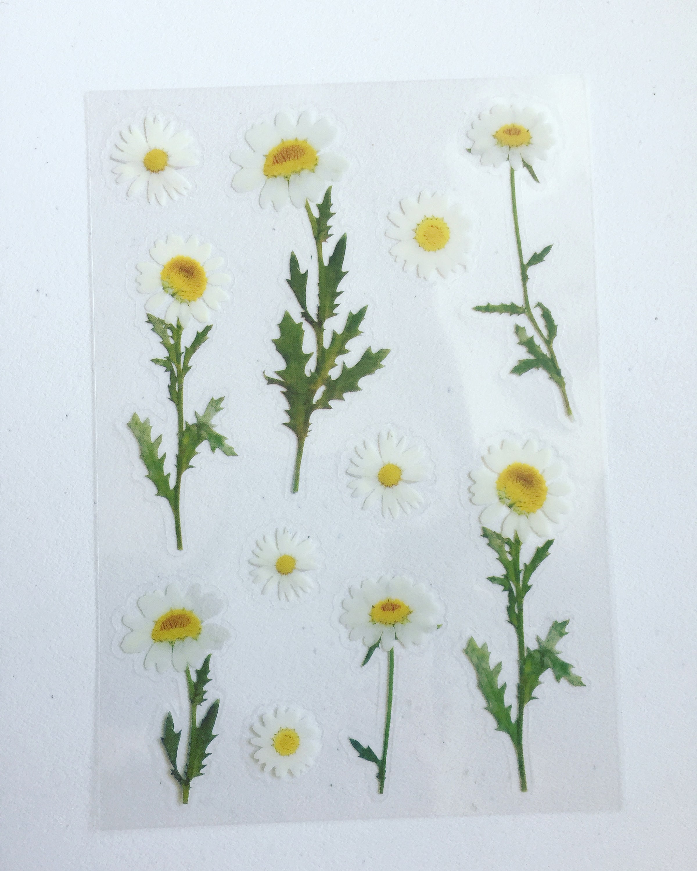 Daisy Flower Stickers Wild Flower Planner Stickers White | Etsy