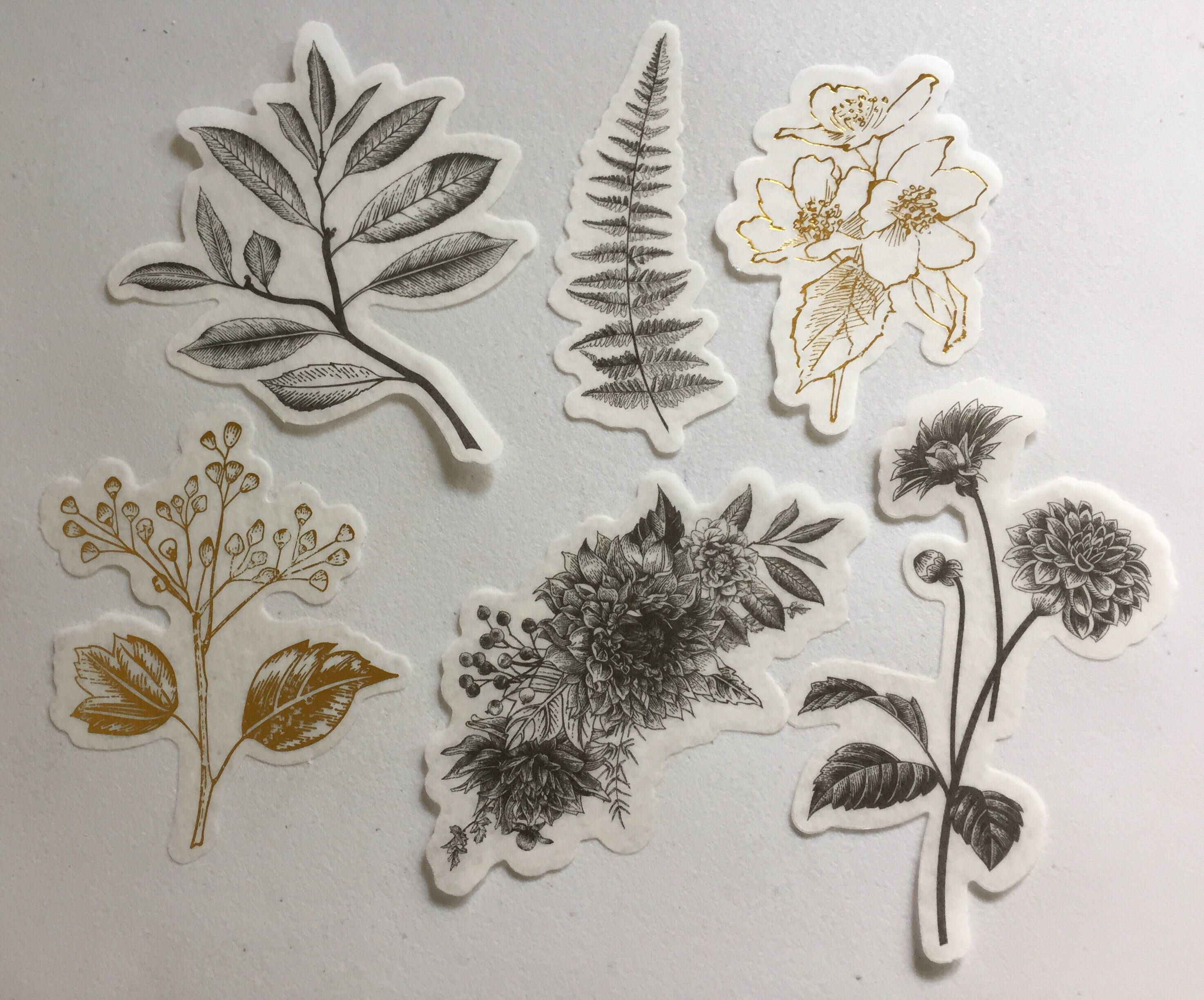 Gold Foliage Sticker Set Monochrome Leafy Plants Stickers | Etsy