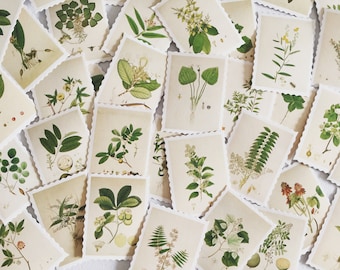 Plant Stamp Set Mini Stamp Set plant lady stamps