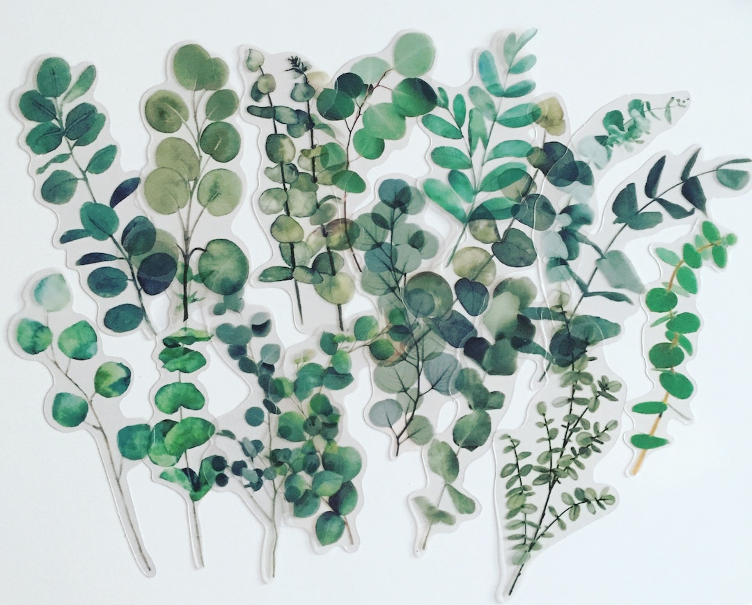 Eucalyptus Branch Stickers, Greenery Planner Stickers, Leaves Stickers ...