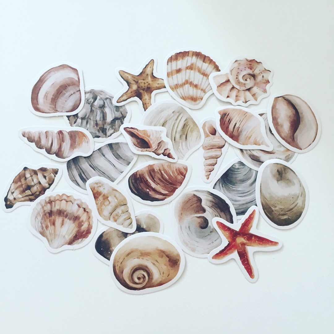 Seashells Stickers, Marine Life Scrapbook Stickers, Summer Beach ...