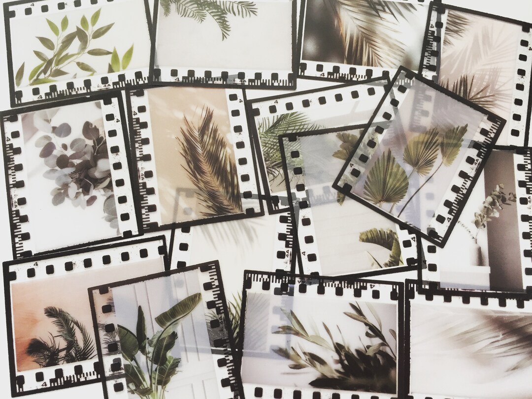 Greenery Retro Film Frame Sticker, Vintage Camera Film Roll Sticker ...