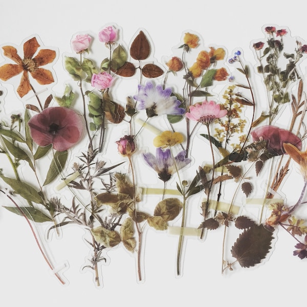 Flower Stickers - Etsy