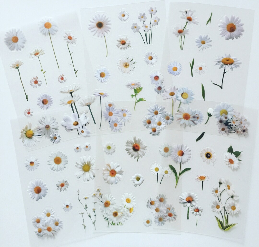 Daisy Flower Sticker Set, Pressed Wild Flower Planner Stickers, White ...