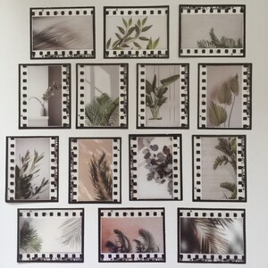 Greenery Retro Film Frame Sticker Vintage Camera Film Roll - Etsy