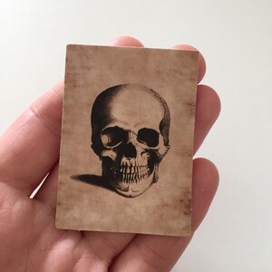 Vintage Human Anatomy Stickers, Old Medicine Illustration Stickers ...