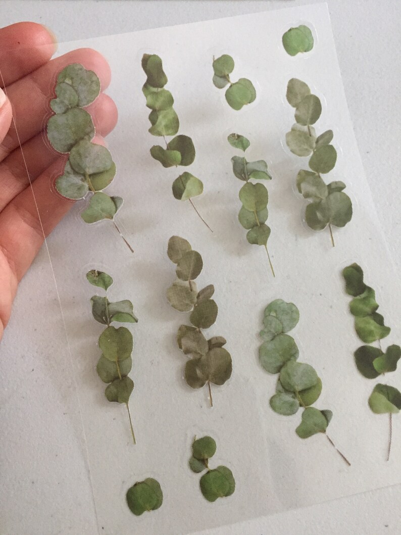 Eucalyptus Plant Stickers Eucalyptus Leaf Planner Stickers - Etsy