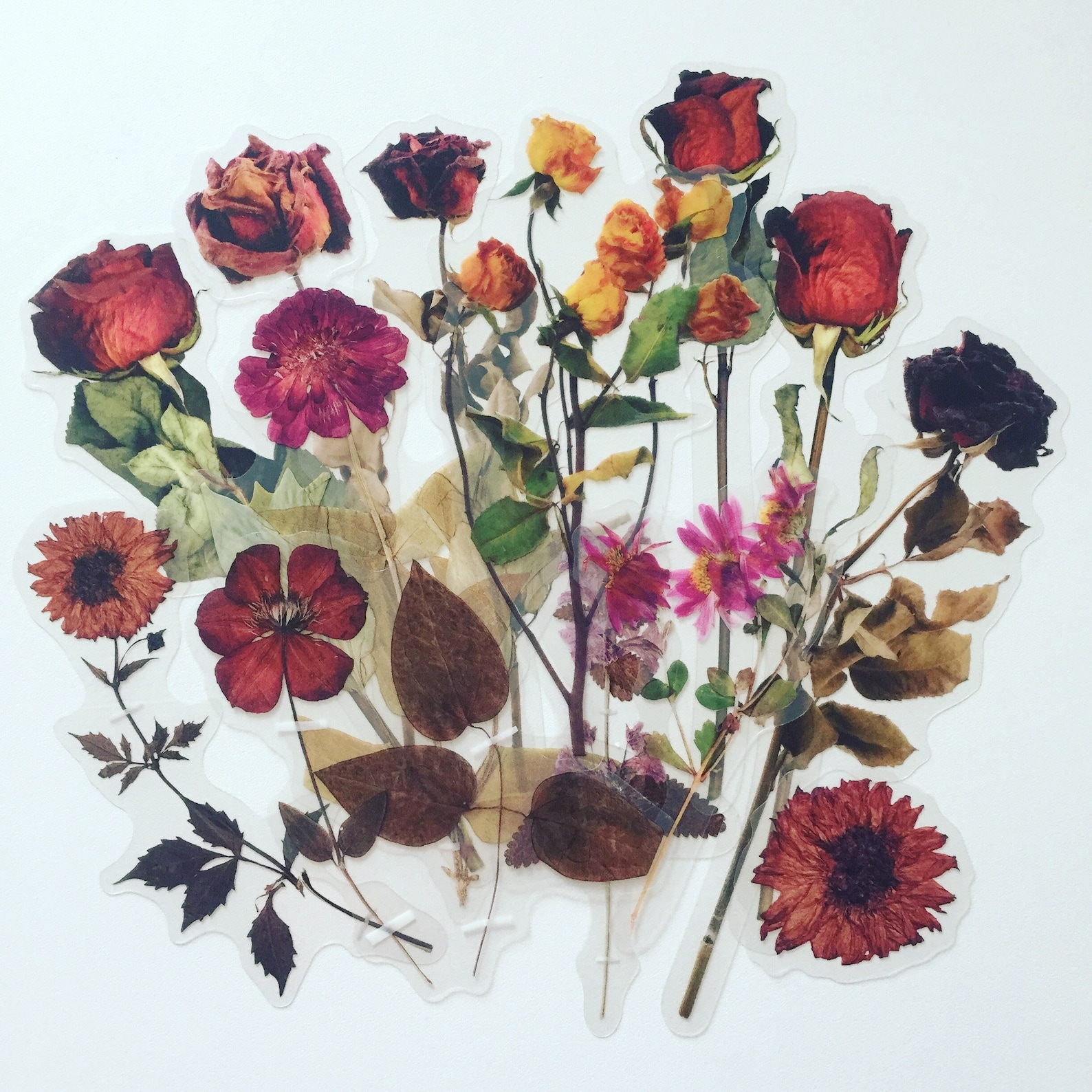 Large Dried Flowers Sticker Set, Pressed Rose Stickers, Pressed ...