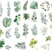 Foliage Sticker Set, Green Leaf Planner Stickers, Leafy Plant Stickers ...