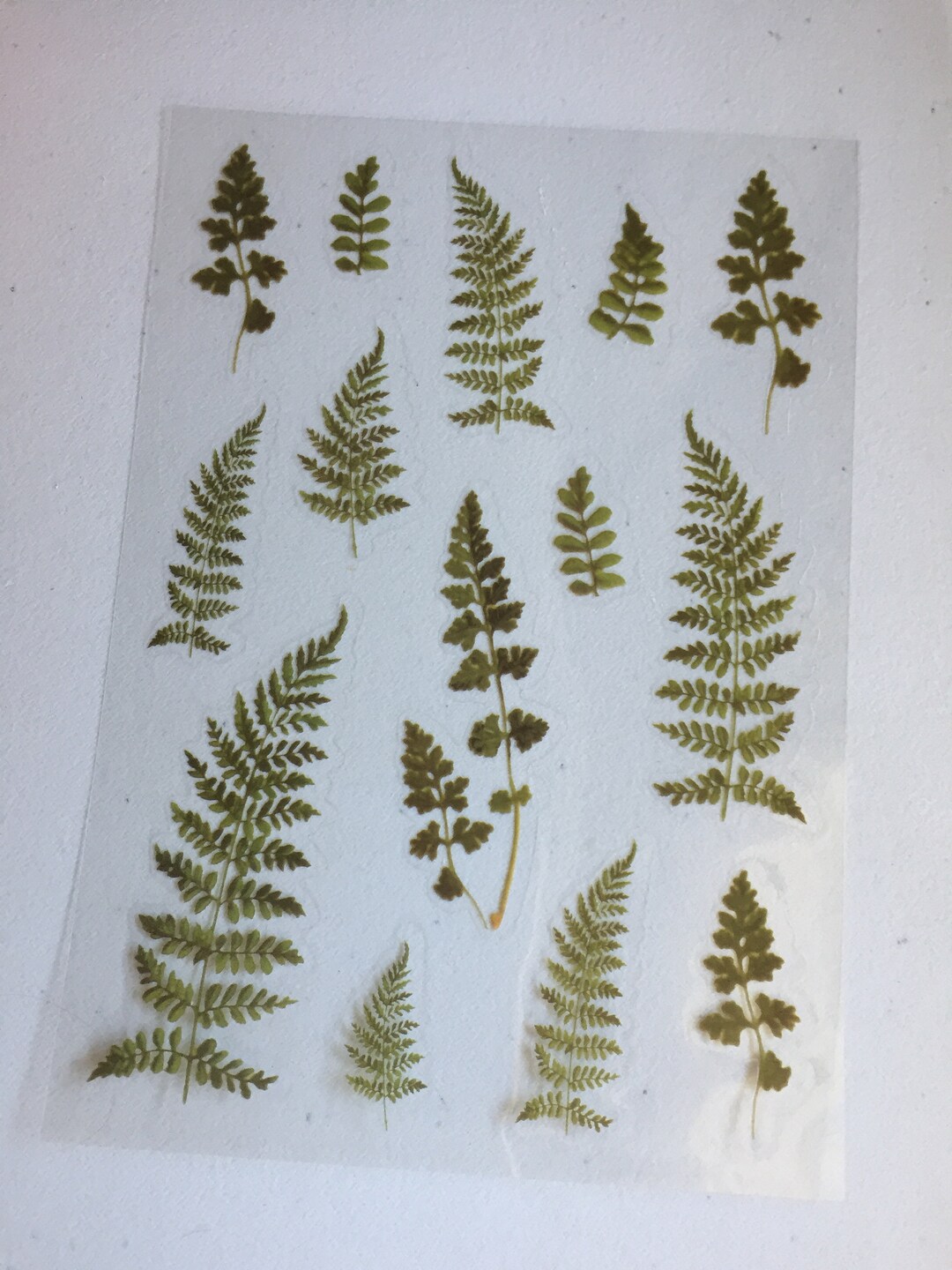 Fern Plant Stickers, Greenery Planner Stickers, Plants Stickers ...