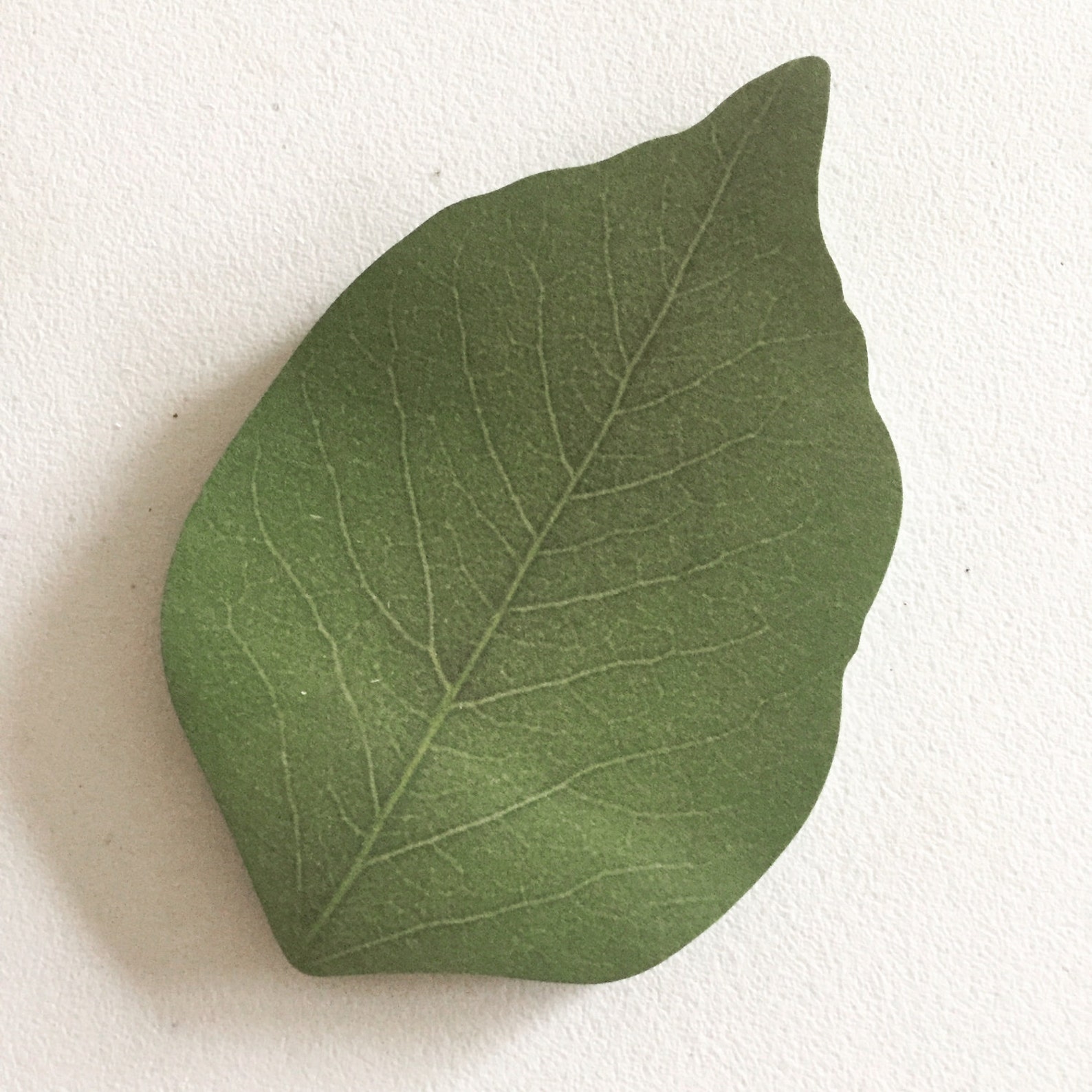 Green Leaf Sticky Notes Nature Leafy Sticky Notes Zen | Etsy