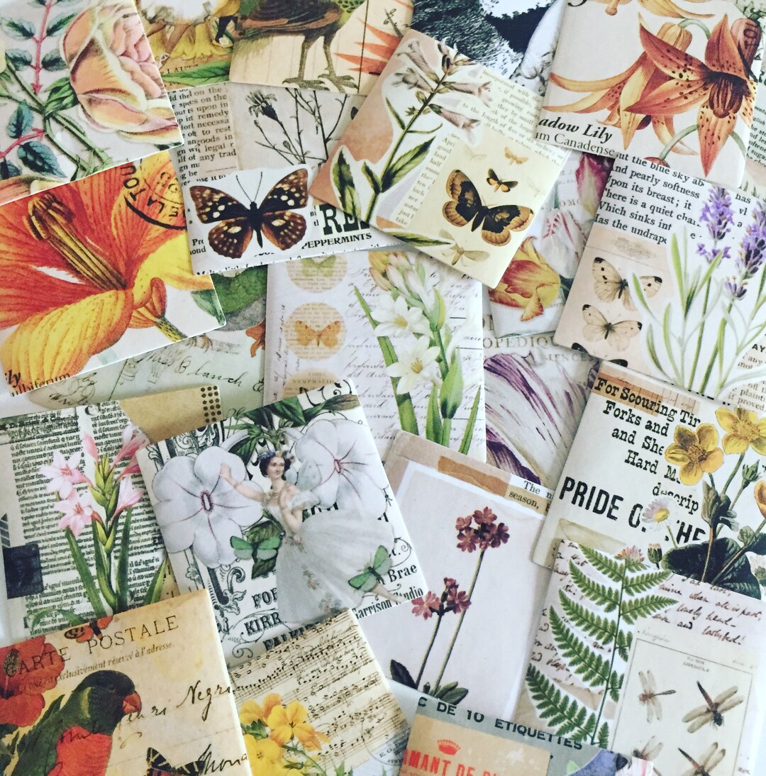 Antique Flora & Fauna Decoupage Stickers, Retro Floral Planner Stickers ...