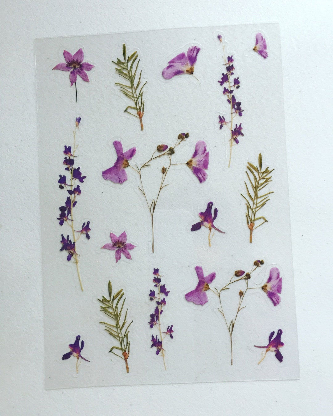 Rosemary Herb Plant Stickers, Purple Flower Planner Stickers, Floral ...
