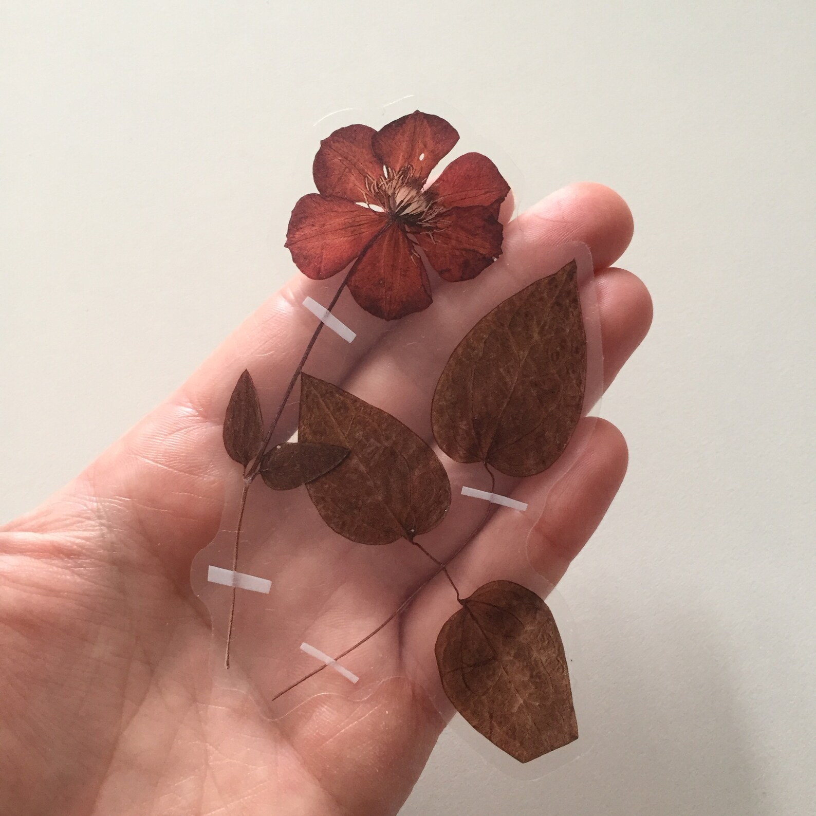 Large Dried Flowers Sticker Set, Pressed Rose Stickers, Pressed ...