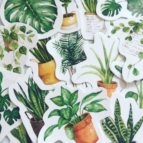 Materials Paper, Party & Kids Greenery Planner Stickers Cacti Scrapbook ...