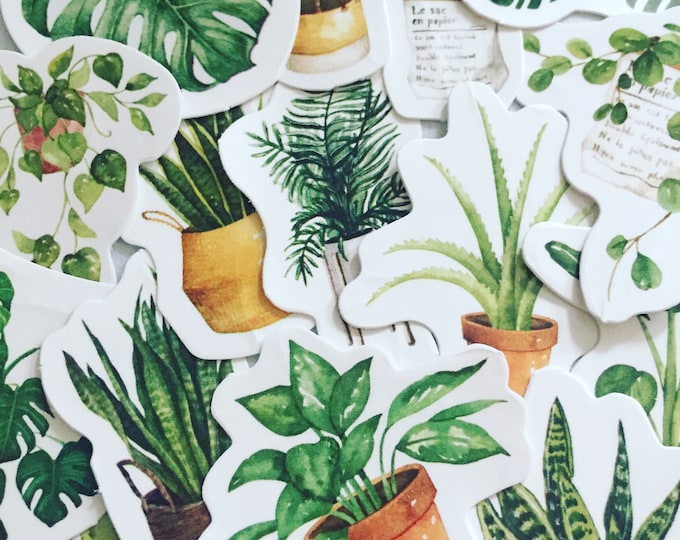 Cactus Stickers Succulent Stickers Gardening Stickers Planter Stickers ...