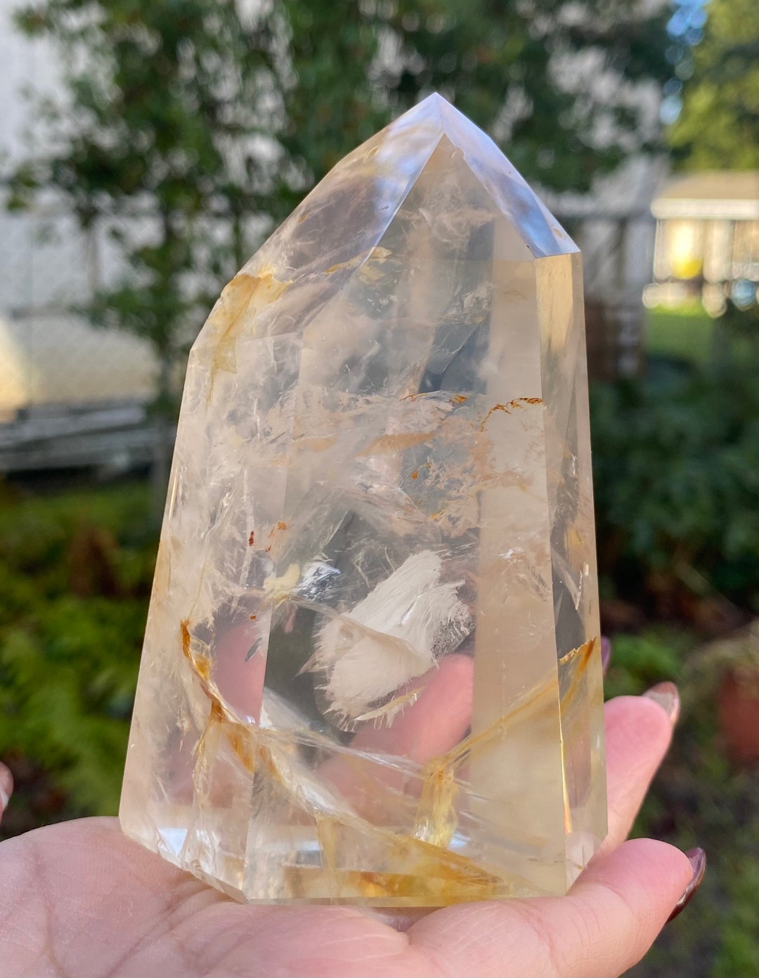 Beautiful Golden Healer Standing Point - Etsy