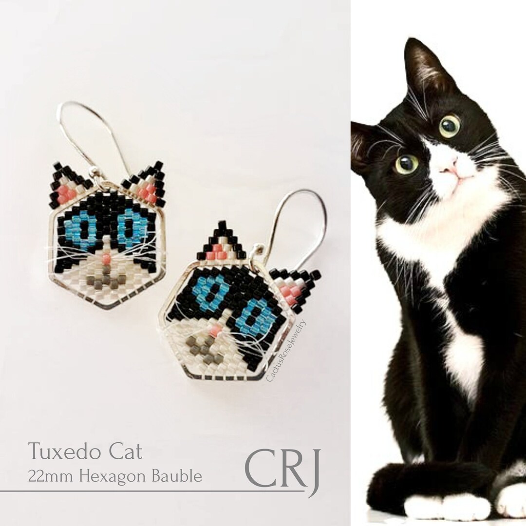 Tuxedo Cat Hexagon Bauble PATTERN ONLY Bauble, Earrings, Bracelet ...