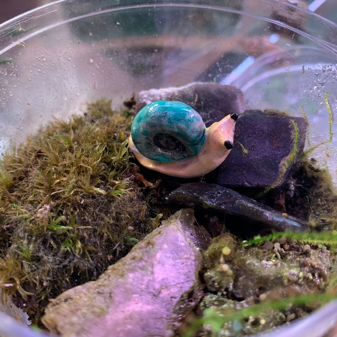 Miniature Clay Snail, Miniature Clay Slug With Shell, Fairy Garden ...