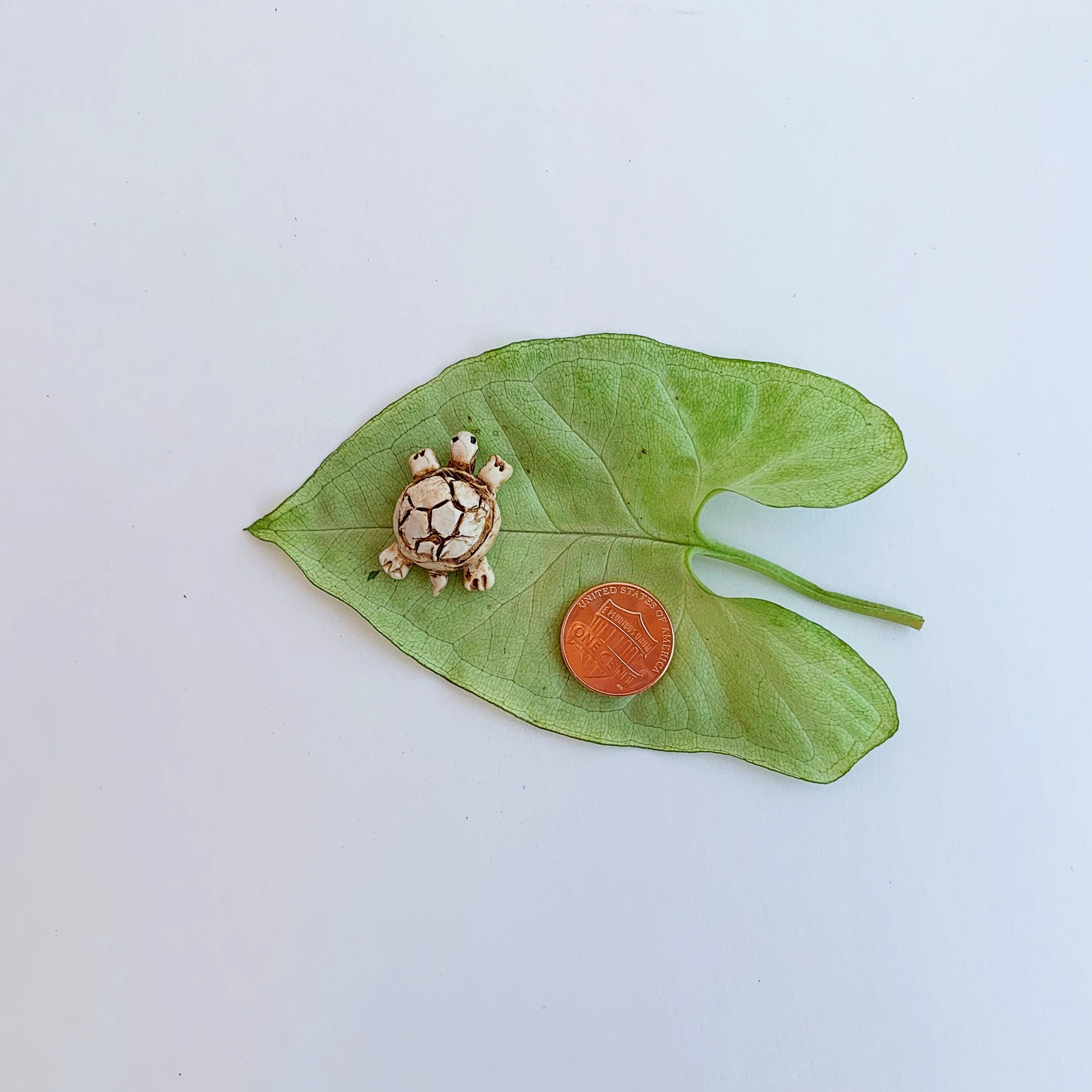 Miniature Clay Tortoise, Miniature Clay Turtle, Fairy Garden Accessory ...