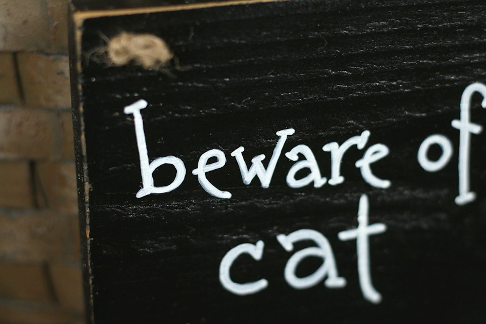 Beware of Cat Sign Custom Wood Sign Front Door Decor Custom - Etsy