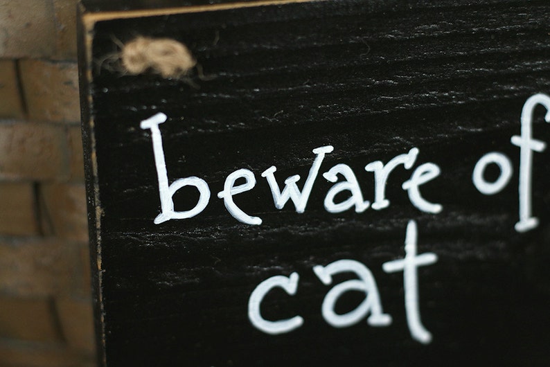 Beware of Cat Sign Custom Wood Sign Front Door Decor Custom | Etsy