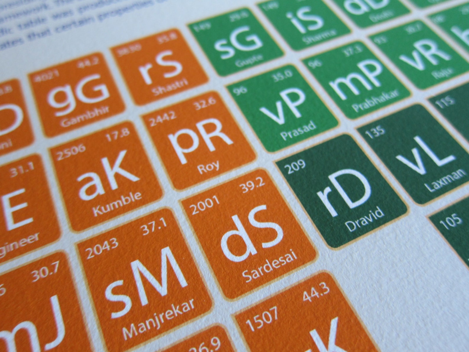 India Cricket Print Cricket Gift Cricket Art Print Cricket - Etsy