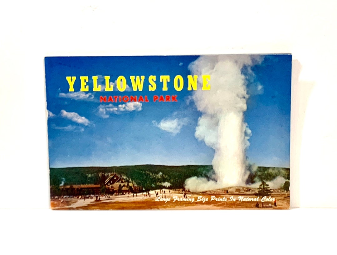 Vintage Yellowstone, National Park, 1960s Brochure, Large Prints, Mid ...