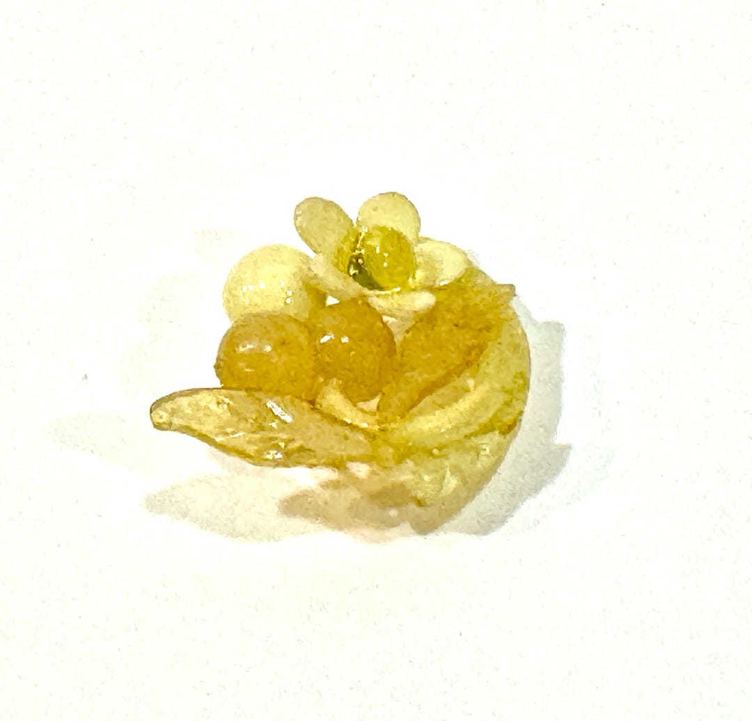 Vintage Celluloid Daisy Button: Figural Floral, Weeber Style, 1 Inch - Etsy