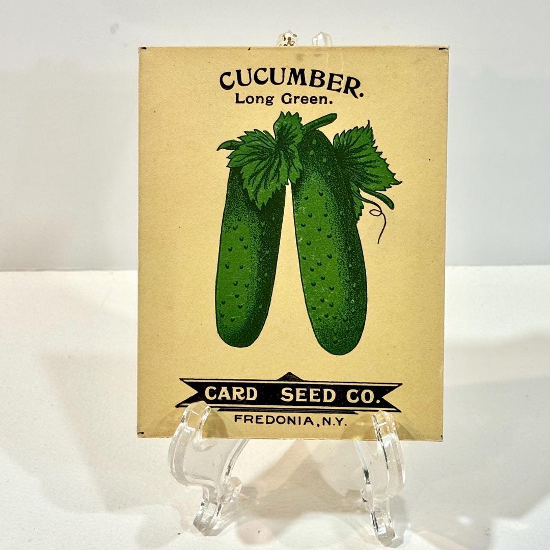 Antique Cucumber Seed Packet: 1910s Card Seed Co. Ephemera - Etsy