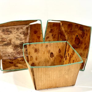 Vintage Berry Baskets 1950s Farmhouse Mid Century Storage - Etsy