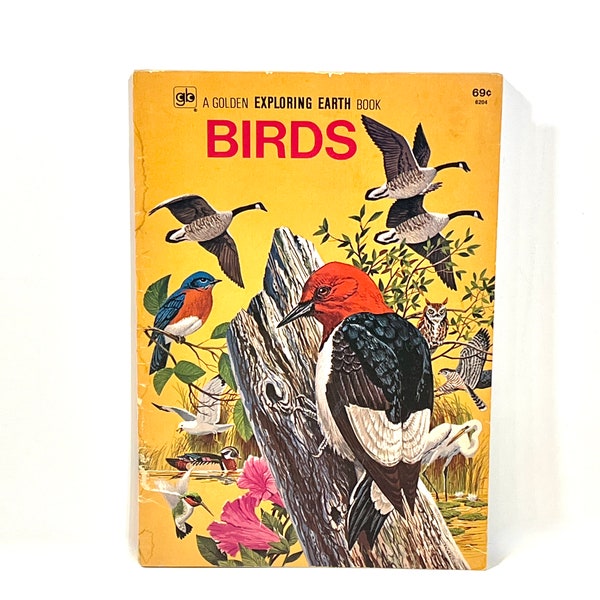 Vintage Bird Book - Etsy