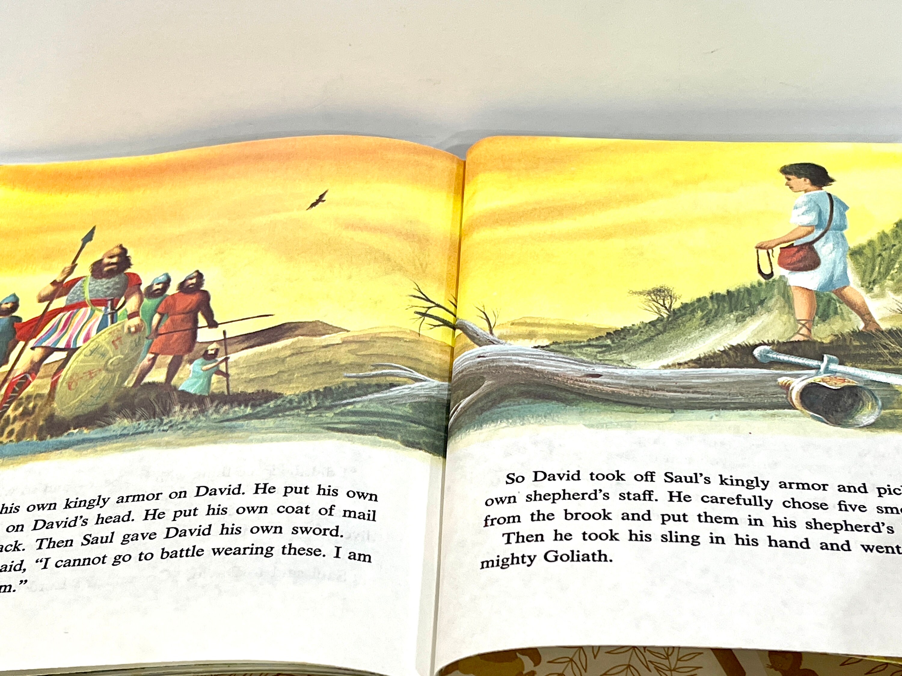 David And Goliath Story Book