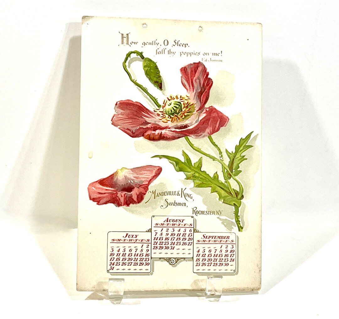 Antique Calendar Art, Poppy Flower, Mandeville King, Flower Seed Art ...