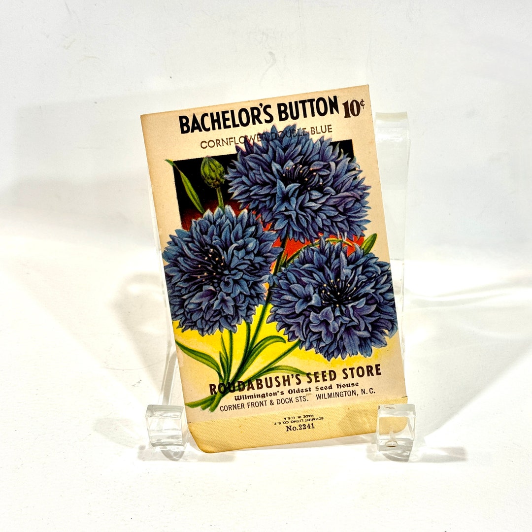 Vintage Seed Packet, Bachelors Button, Blue Cornflower Lithograph Print, Empty NOS, Roudabushs ...