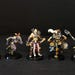 Village Attacks Board Game With All Miniatures Painted to a Very High ...