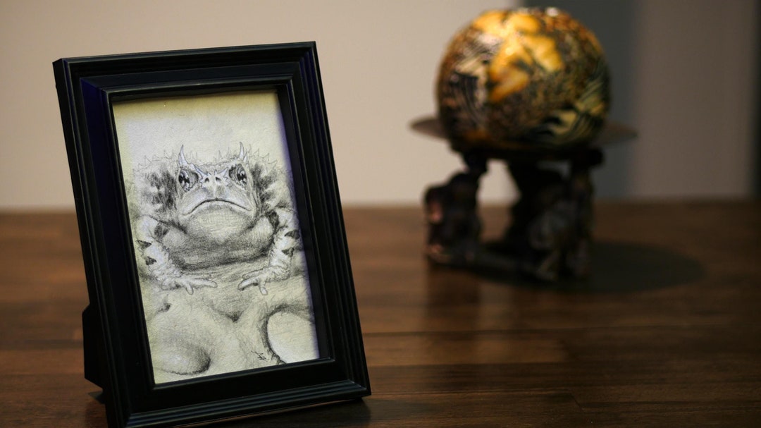 Original Drawing "fantasy Toad" Unique Toad Art, Frog Creature Concept ...