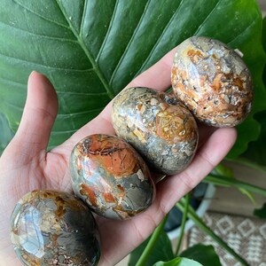 Ibis Jasper Palmstone Ibis Jasper Stone Ibis Jasper Pebble - Etsy