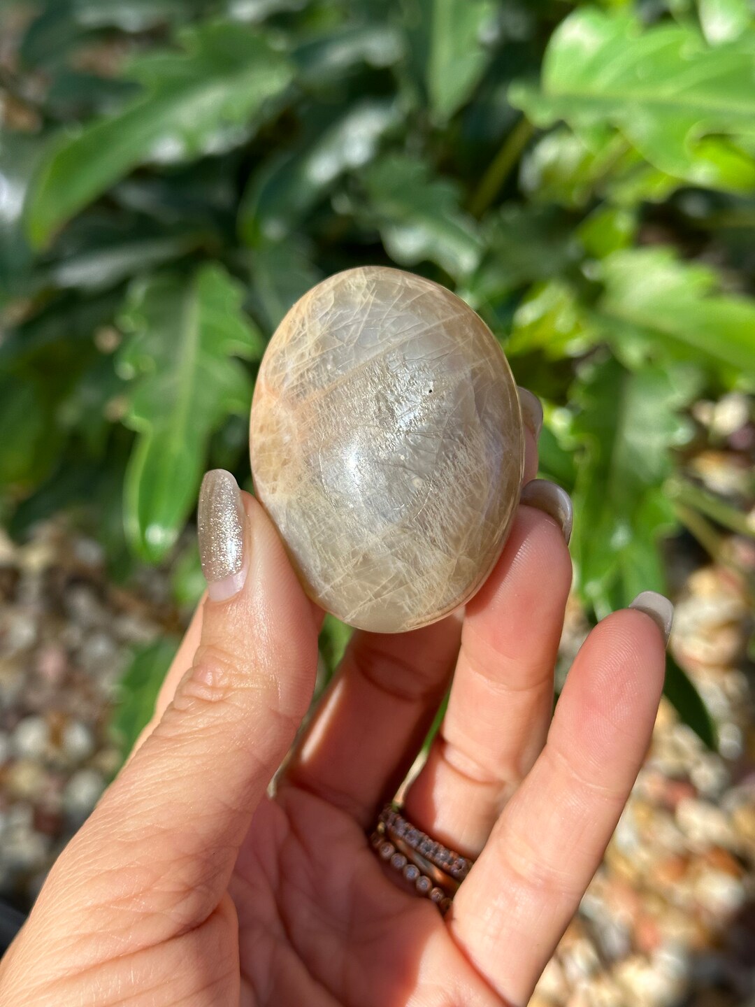 Pierre de palmier pêche pierre de lune énergie féminine - Etsy France