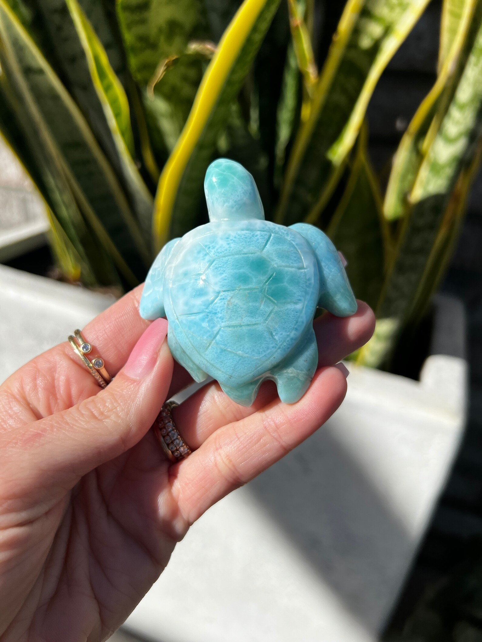 Larimar Turtle - Etsy