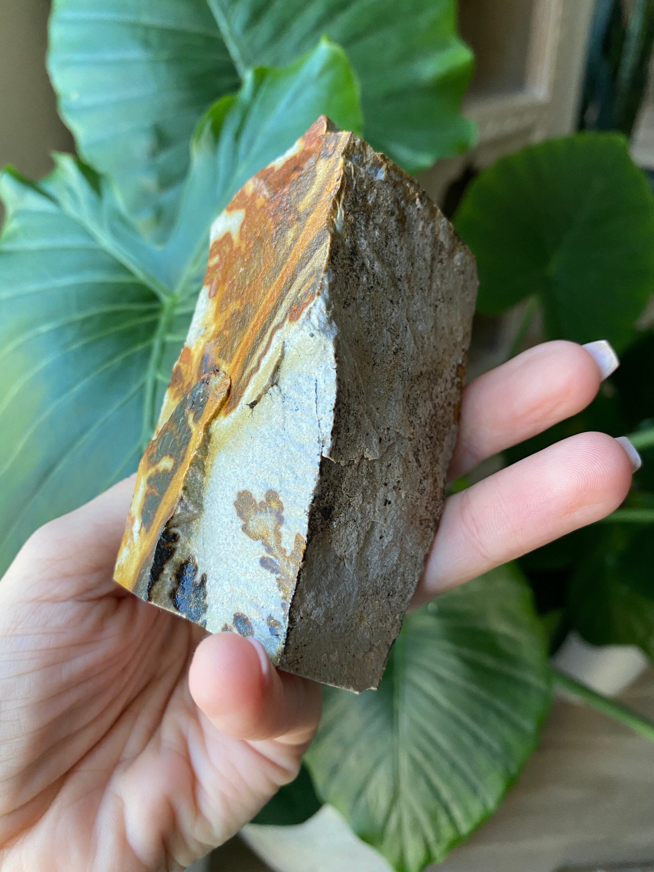 Dendrite stone dendritic jasper dendritic granite utah | Etsy