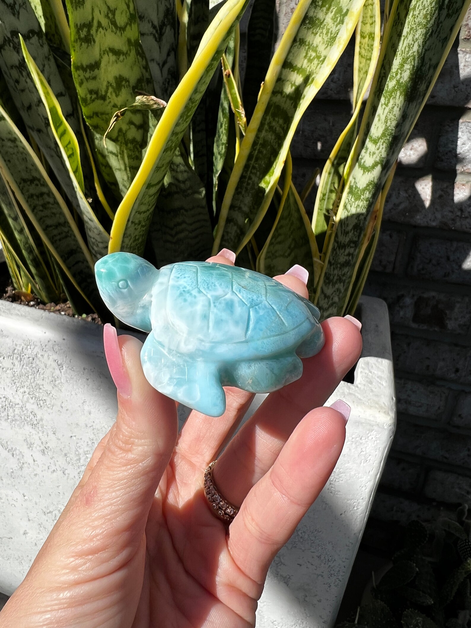 Larimar Turtle - Etsy