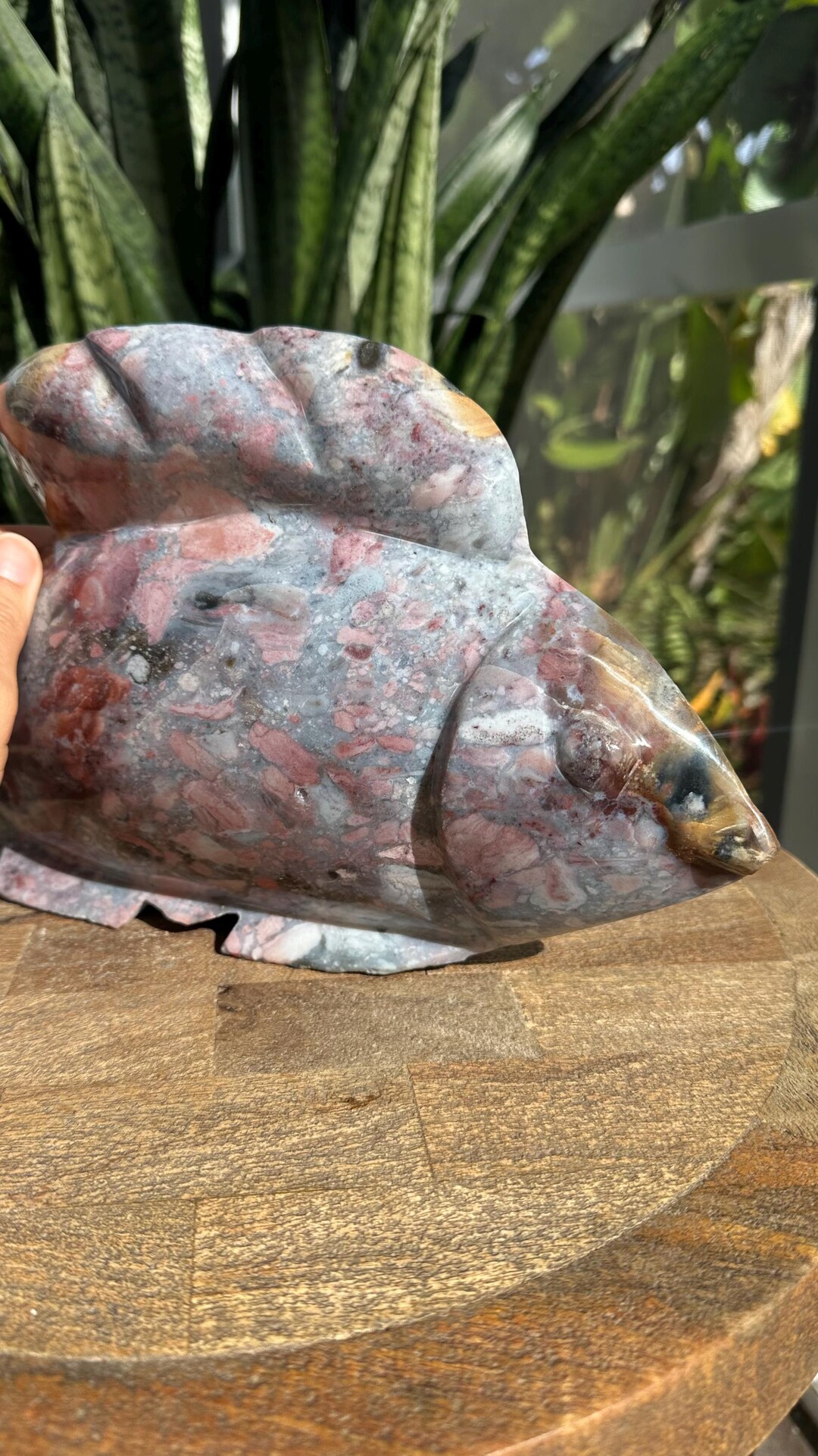 Ocean Jasper Fish Crystal Carving • 8 Lb • Colorful Goldfish Gemstone ...