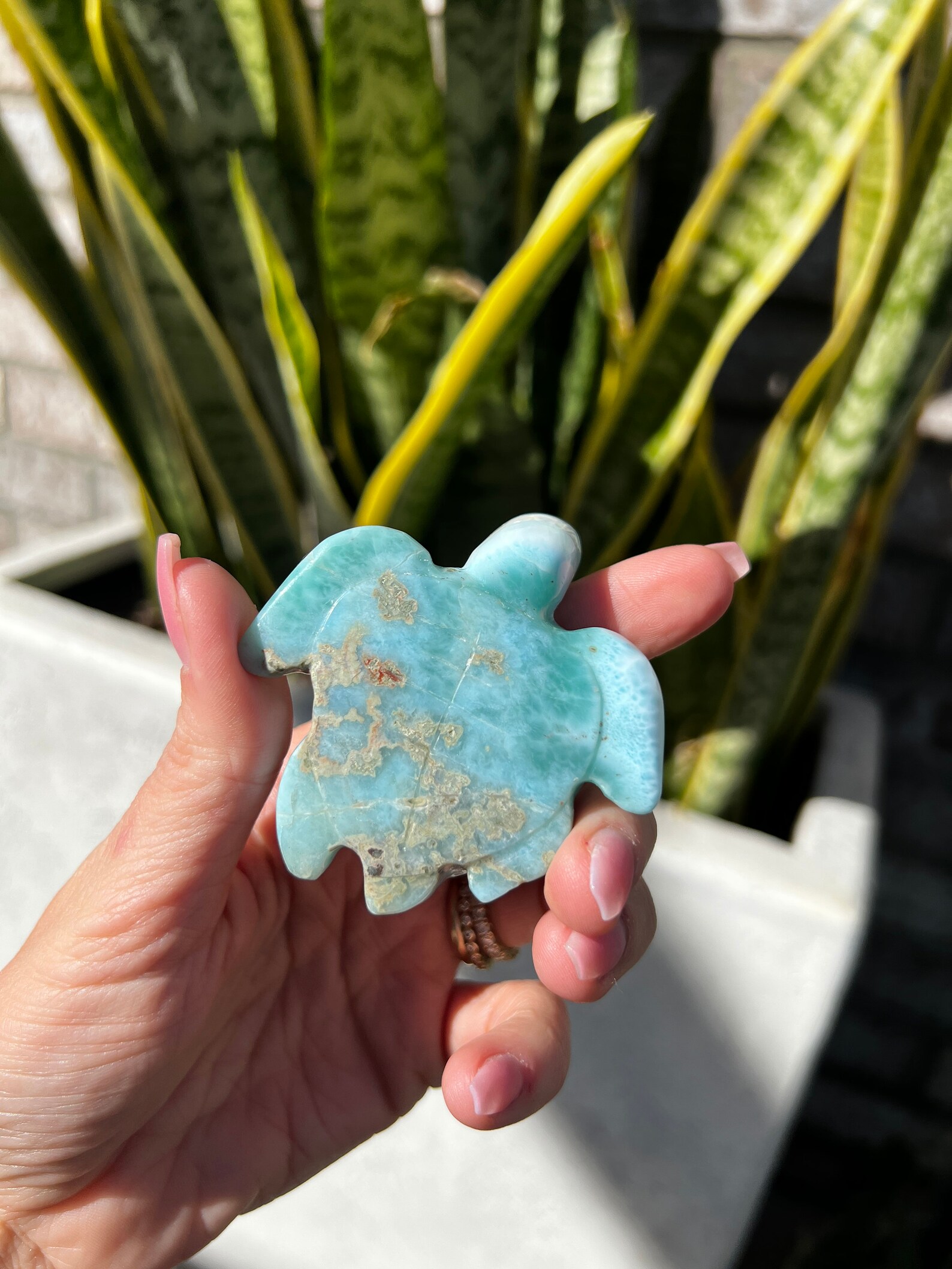 Larimar Turtle - Etsy