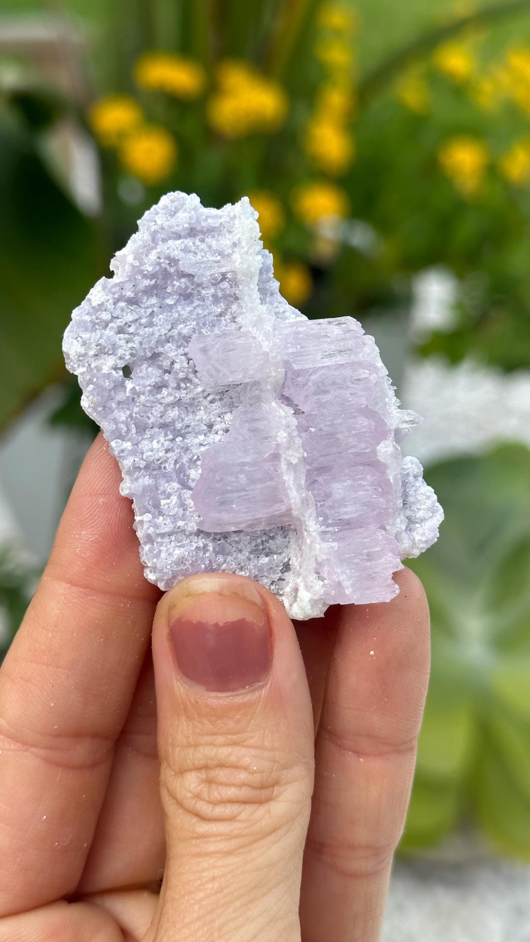 Gemmy Pink Lavender Kunzite in Apple Green Tourmaline and Lepidolite ...