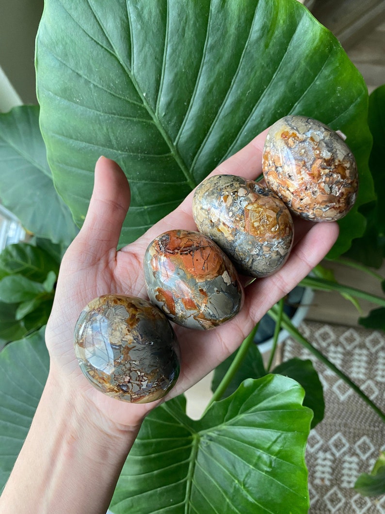 Ibis Jasper Palmstone Ibis Jasper Stone Ibis Jasper Pebble - Etsy