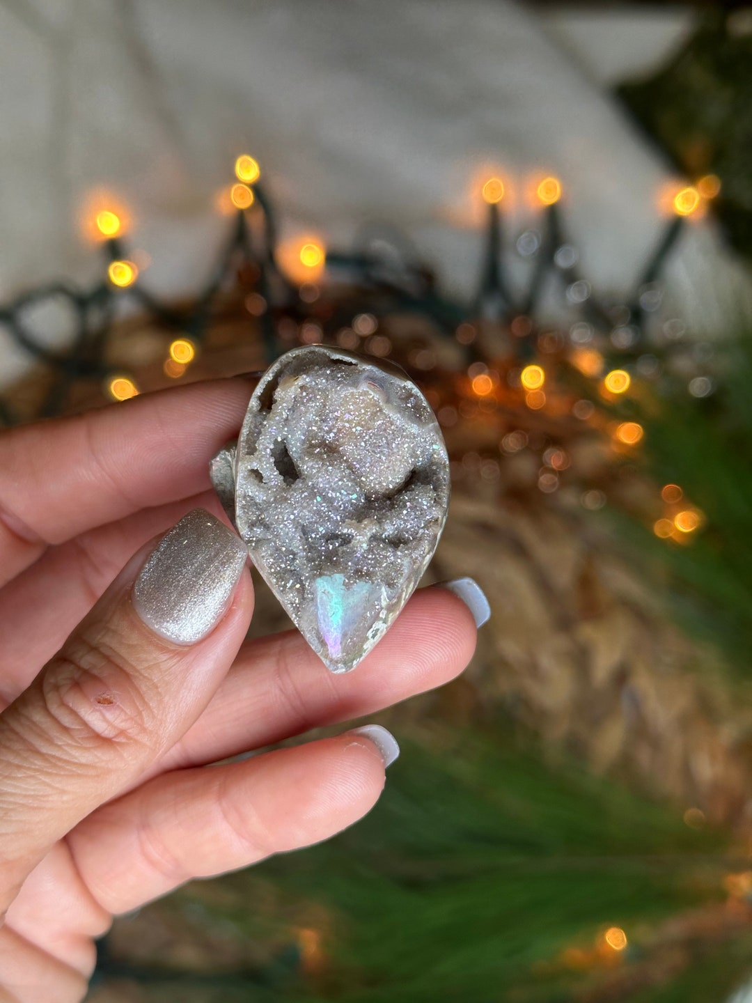 Aura Druzy Shell, Opalized Druzy Fossilized Shell, Shell, Fossil, Druzy ...