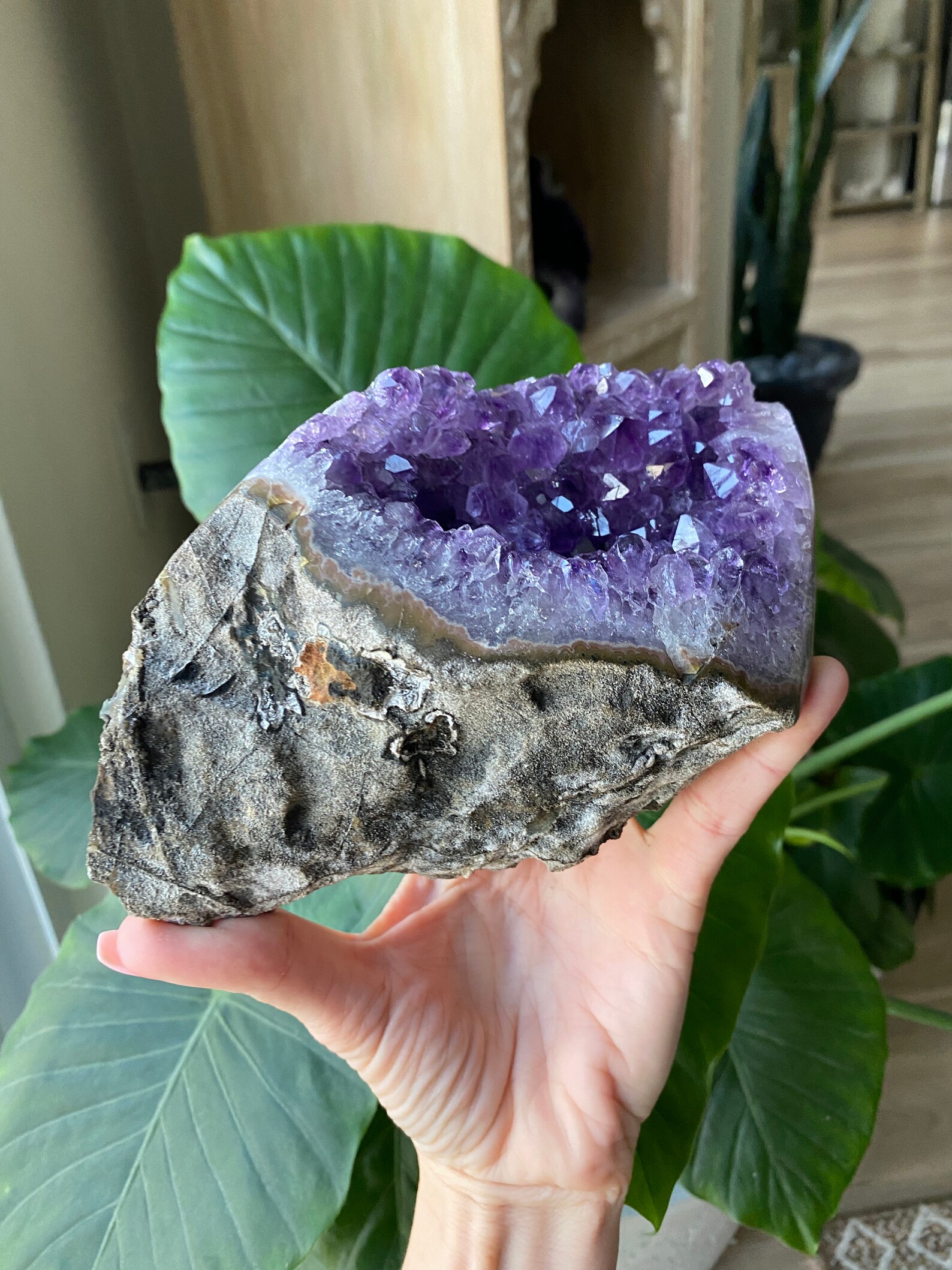 Amethyst Cluster on a Stand Amethyst - Etsy