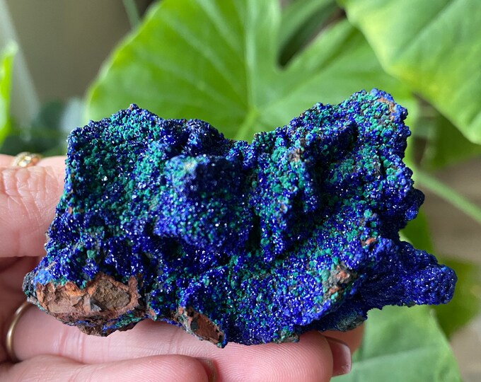 Natural Azurite With Malachite on Quartz Psuedomorph Specimen, Cabinet ...